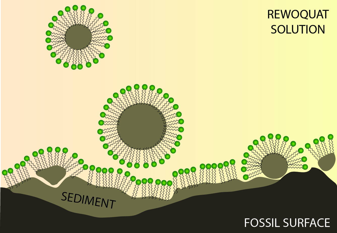 Rewoquat Preparation – ZOIC PalaeoTech Limited